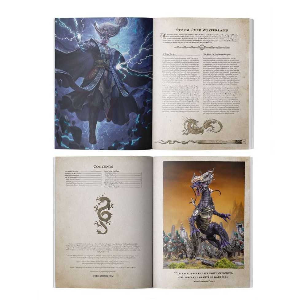 Arcane Journal: Dawn Of The Storm Dragon